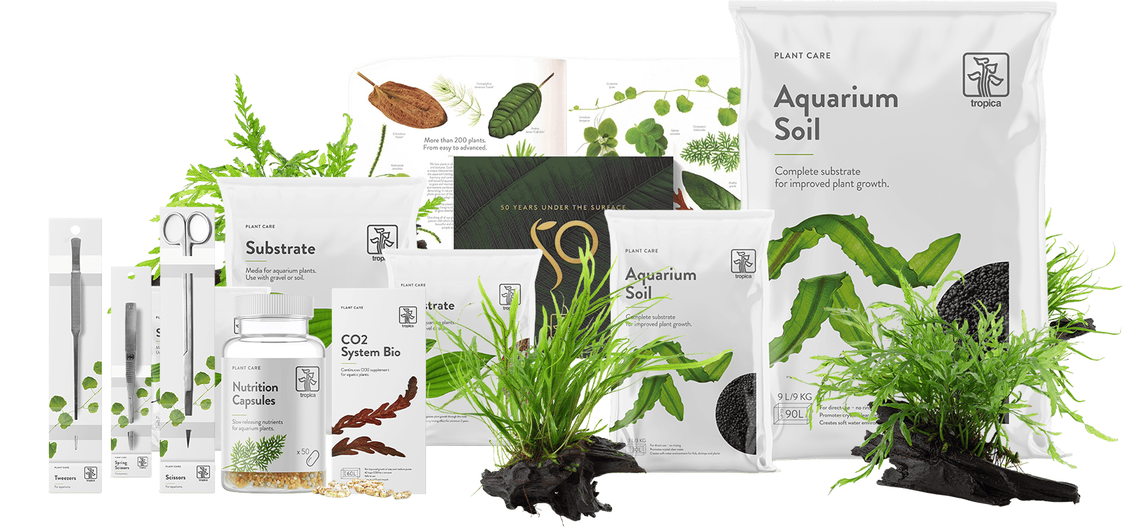 Aquatic Plants - AQUATIX - Online Store - South Africa